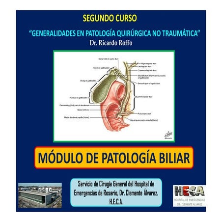 Vía Biliar Extrahepática: Anatomía Normal y Técnica Ecográfica | PPTX