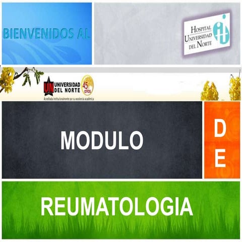 Modulo final | PPTX