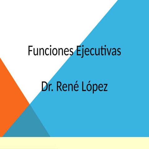 CUADERNILLO FUNCIONES EJECUTIVAS 2.pdf