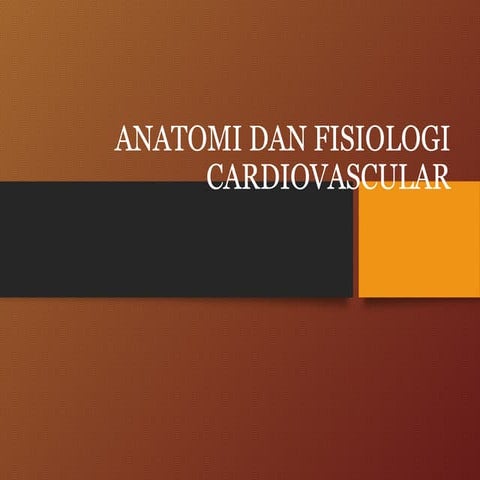 Anatomy and Physiology Cardiovascular System | PPT