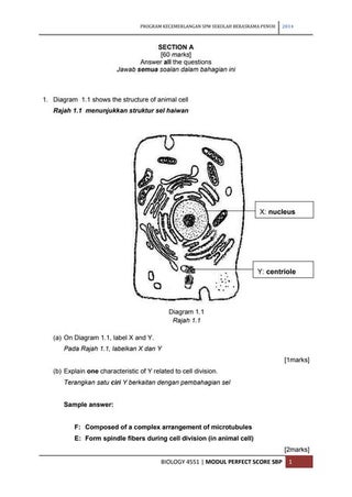 BIOLOGY FORM 4 CHAPTER 2 PART 1 - CELL STRUCTURE | PPT