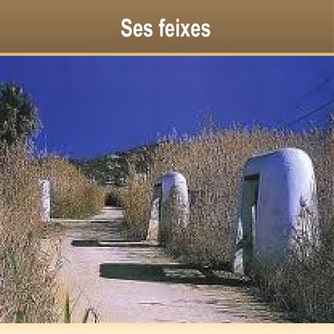 Habitat i ninxol ecologic | ODP