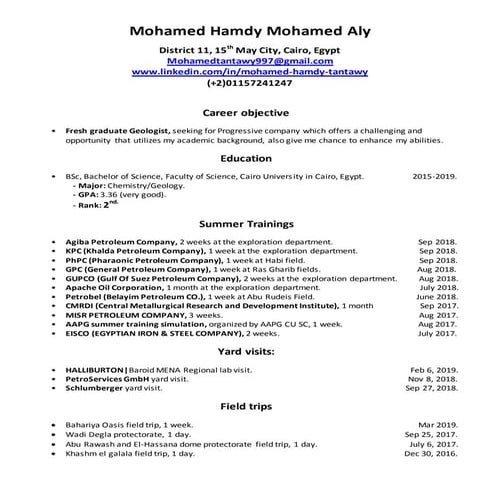 Mohamed-Hamdy-cv | PDF