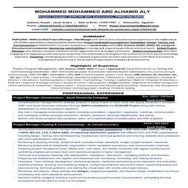 Mohamed Abd Alhamid CV.pdf