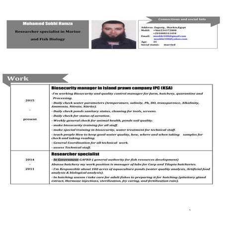 Mohamed hamza cv | PDF