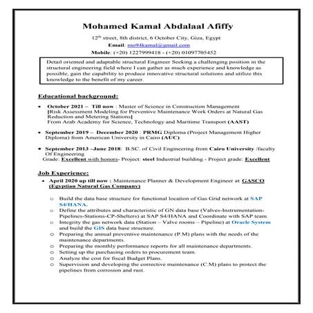 Mohamed Kamal CV.pdf