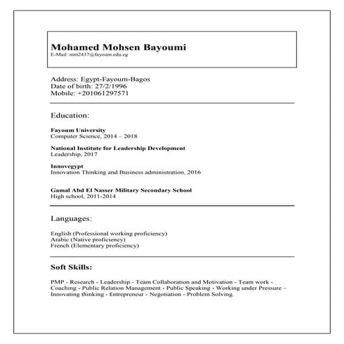 Mohamed mohsen cv | PDF