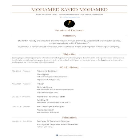 Resume - Muhammad Ibrahim Sheikh_Manager | PDF