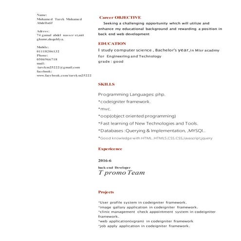 CV Alessandro Giuseppe Fantini | PDF