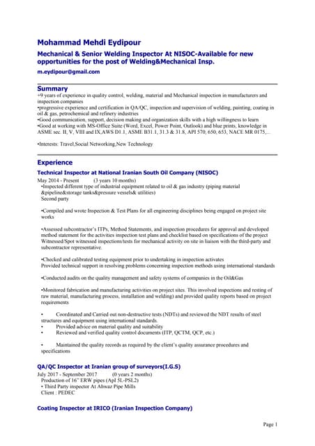 CV format sadiq | PDF