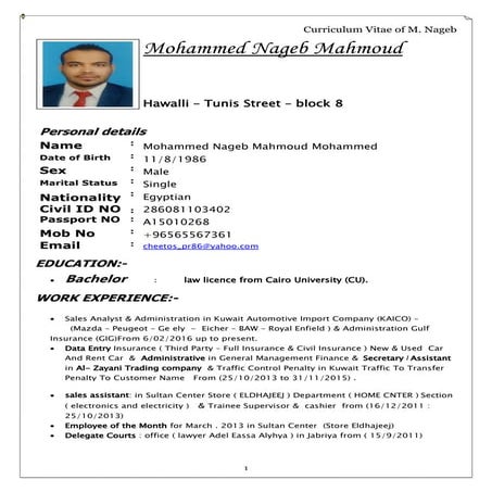 Mohammed cv | PDF