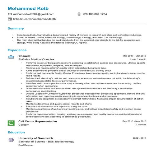 Hady CV (BMS)' | DOCX