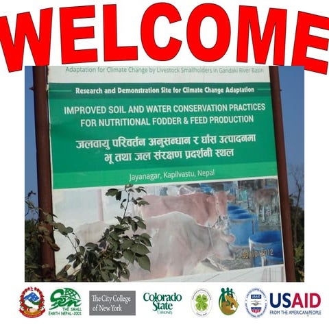 NICRA PROJECT BY Dr.SUNIL KUMAR BOYA | PPTX