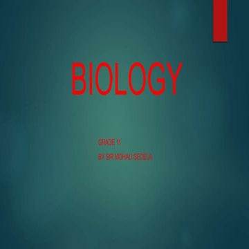 Reproduction Pptx Infertility Reproductive Health