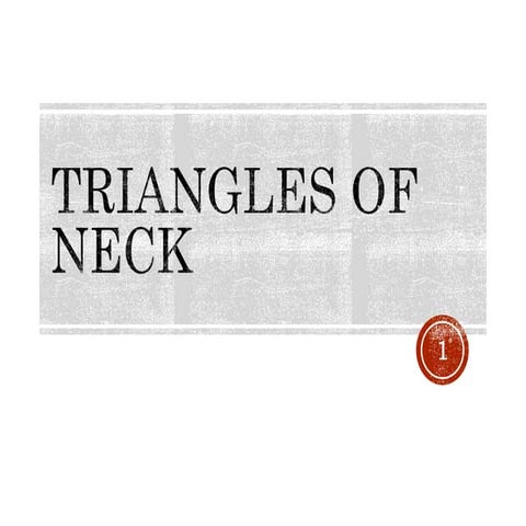 Triangle of Neck by Mohit | PPTX