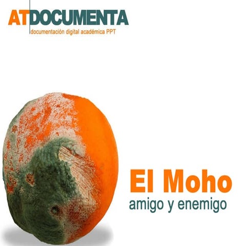 Moho. Amigo y enemigo | PPS