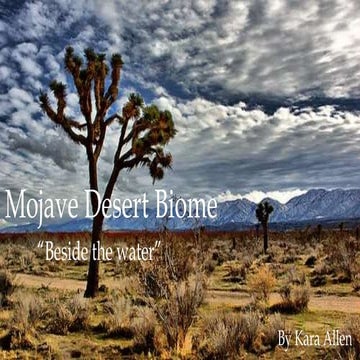 Mojave desert biome | PPTX