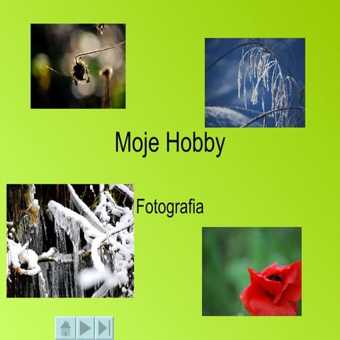 Moje hobby | PPT