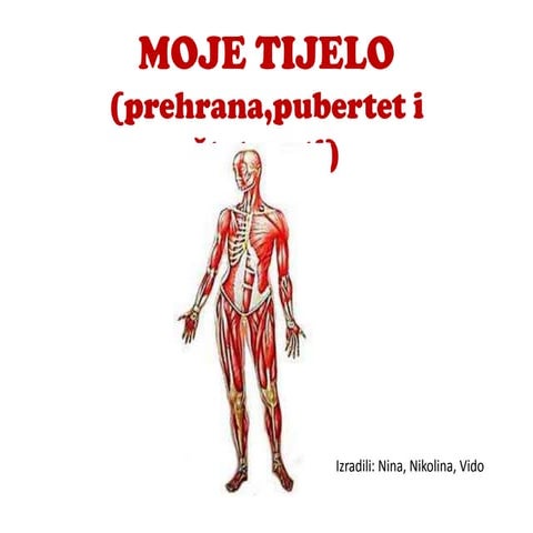 Pubertet i adolescencija | PPTX
