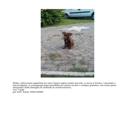 Moka | PDF