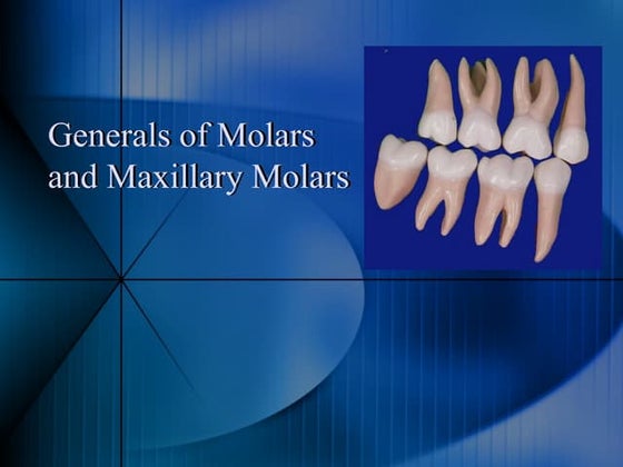 Maxillary second molar | PPTX | Dental Health | Diseases and Conditions