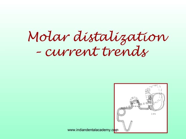 SLOB Technique | PPTX