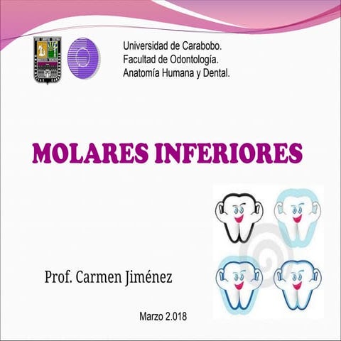 Anatomía dental de los molares superiores | PPTX