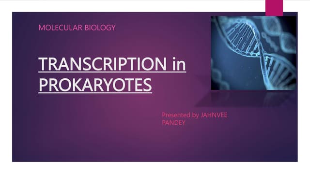 Transcription in prokaryotes | PPTX