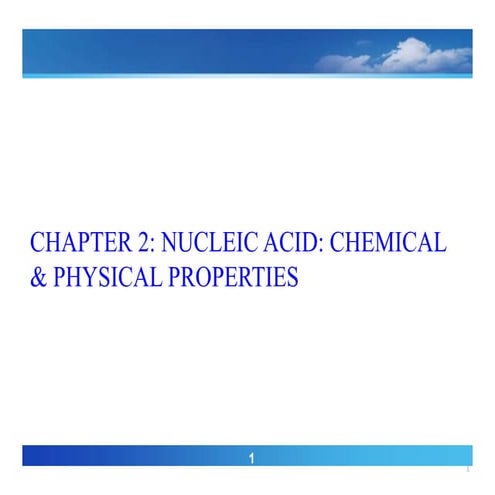 Mol_Biol_Lecture 2b.pptxjgctddgdsefdfxdxe | PPTX