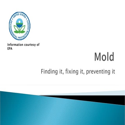 Mold | PPT
