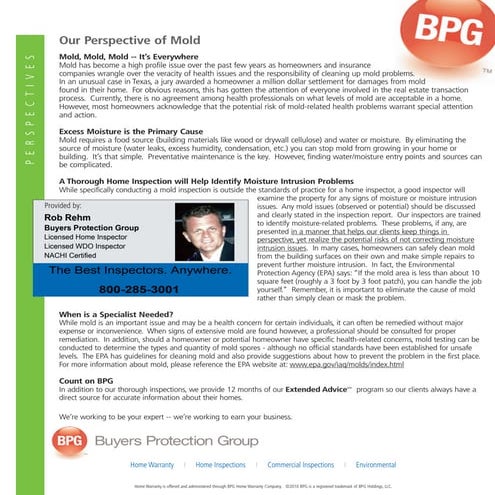 MOLD REMEDIATION - Mold Solutions & Inspections | PDF