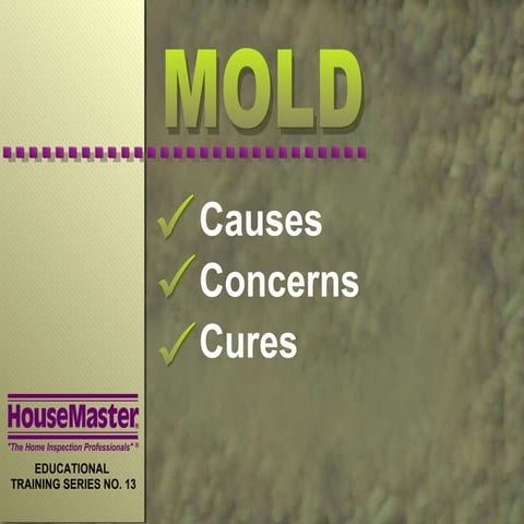 Mold | PPT