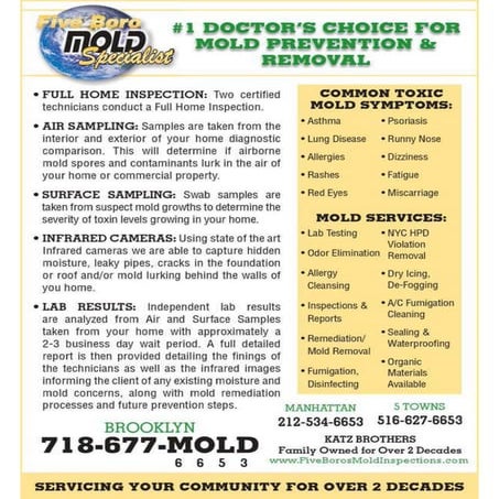Mold inspection | PDF