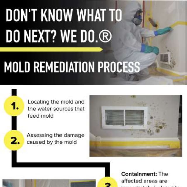 ServiceMaster by LoveJoy's Mold Remediation Process | PDF