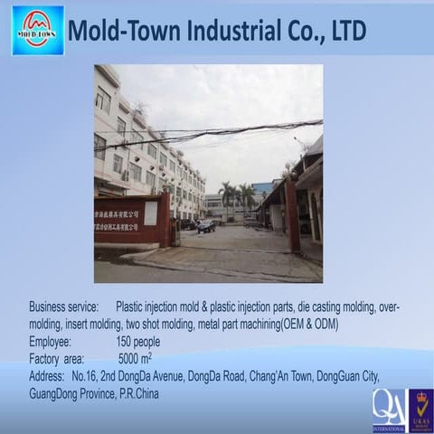 Mold town presentation | PPTX