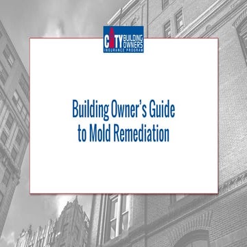 Checklist for Mold Remediation | PDF