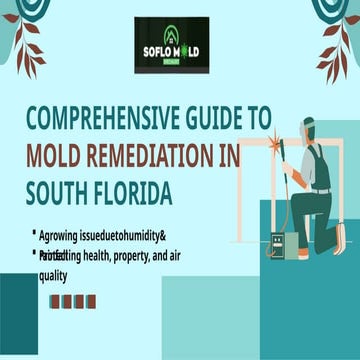 Comprehensive Guide to Mold Remediation in South Florida – Protecting ...