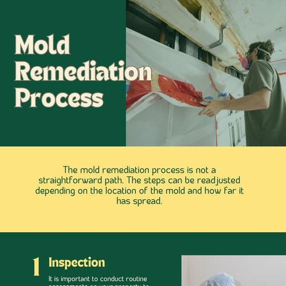Mould Remediation | PDF | Indoor Environmental Quality | Home & Garden