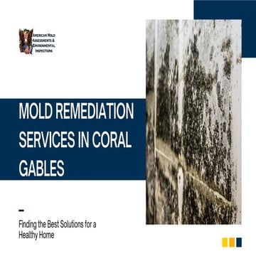 Mold Remediation Process.pdf
