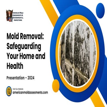 Checklist for Mold Remediation | PDF