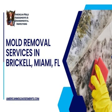 Mold Removal Services in Brickell, Miami, FL | PDF
