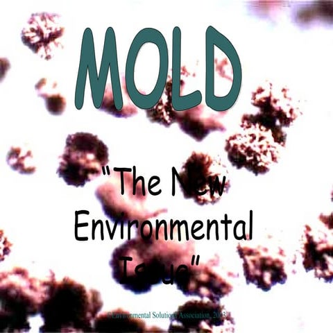 MOLD REMEDIATION - Mold Solutions & Inspections | PDF