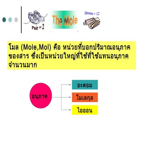 Mole | PPT