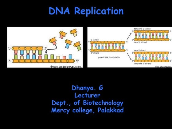Dna replication eukaryotes | PPTX
