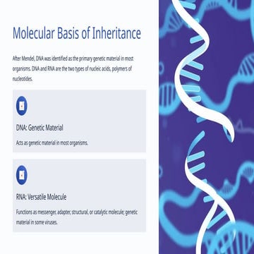 Molecular-Basis-of-Inheritance class 12 .pptx