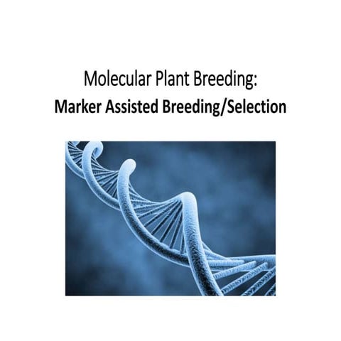 Molecular Plant Breeding-Biotechnology for Crop Improvement | PPTX