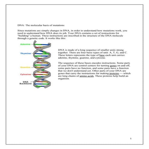 Molecular Basis And Mutation By Umerfarooq Pdf