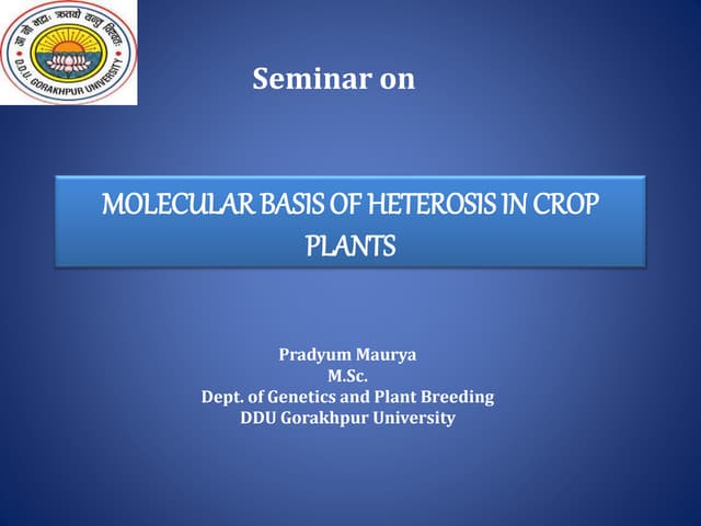 17. Heterosis breeding | PPTX