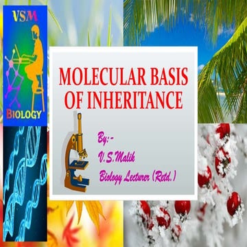 Molecular basis of inheritance | PDF