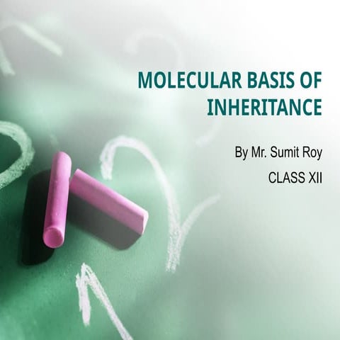MOLECULAR BASIS OF INHERITANCE ..RC.pptx